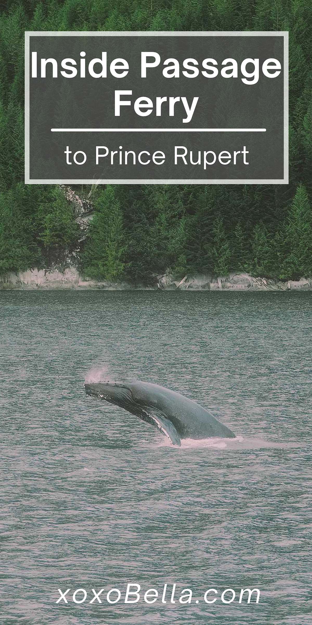 Experience the Inside Passage Ferry From Port Hardy to Prince Rupert ...