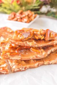Nut Brittle Recipe - xoxoBella