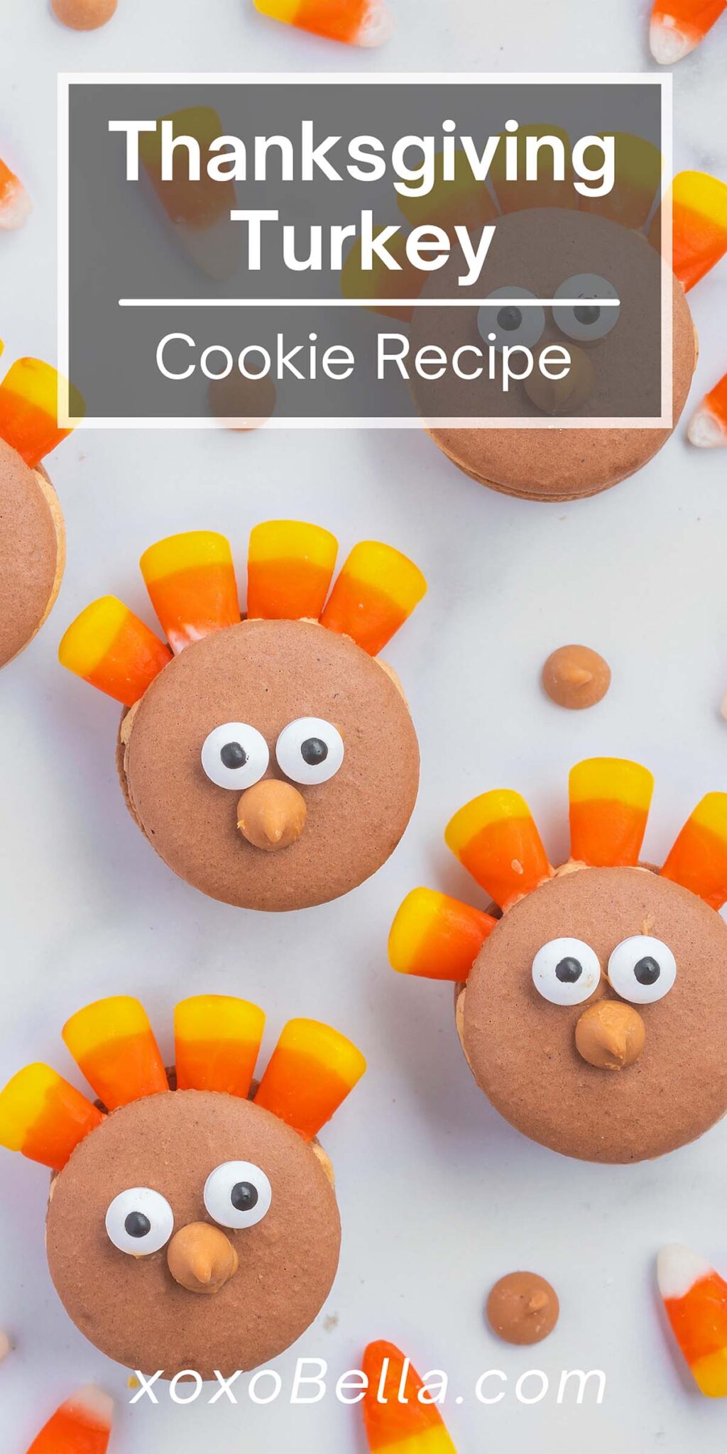 Thanksgiving Turkey Cookies - xoxoBella