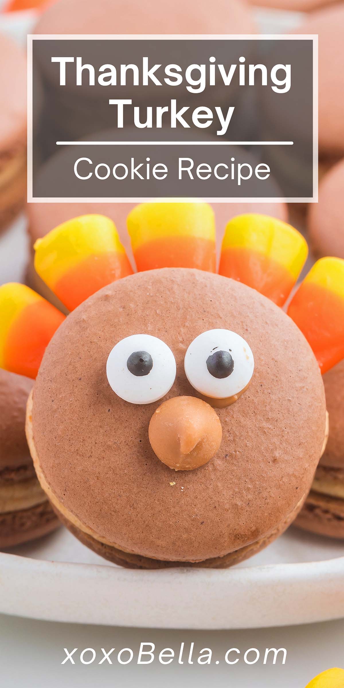 Thanksgiving Turkey Cookies - xoxoBella
