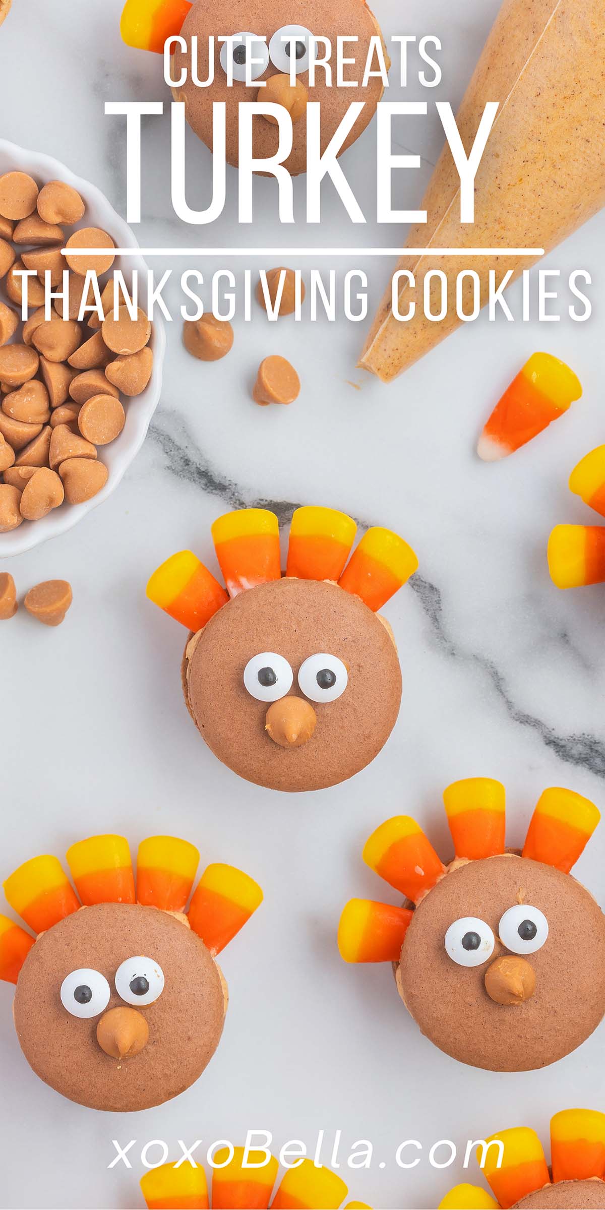 Thanksgiving Turkey Cookies - xoxoBella