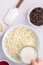 Raspberry Truffles Recipe - xoxoBella