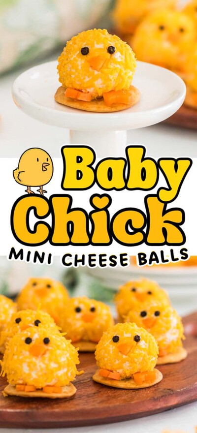 Baby Chick Mini Cheese Balls - xoxoBella