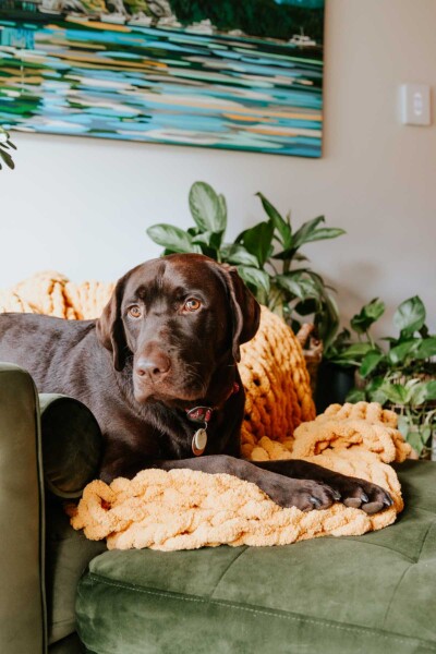 How to Make a Chunky Hand Knit Blanket - xoxoBella