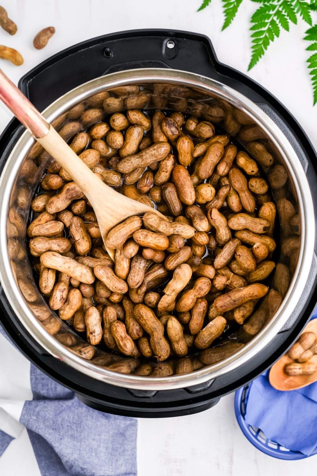 Instant Pot Boiled Peanuts - xoxoBella