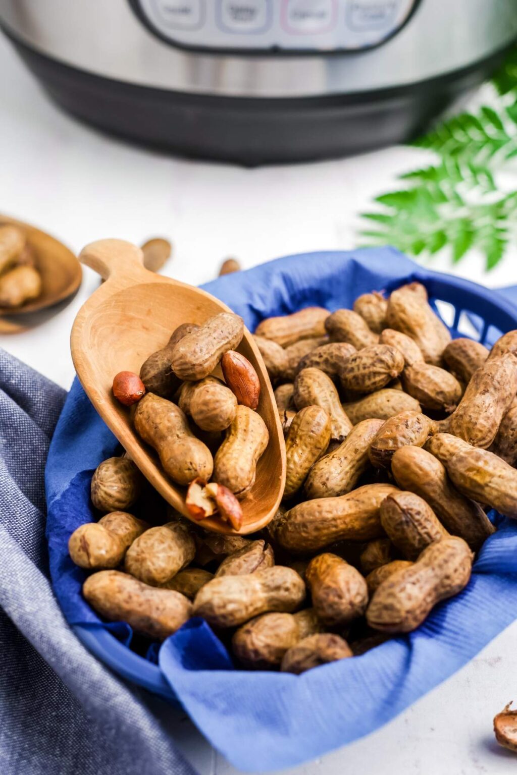 Instant Pot Boiled Peanuts - xoxoBella