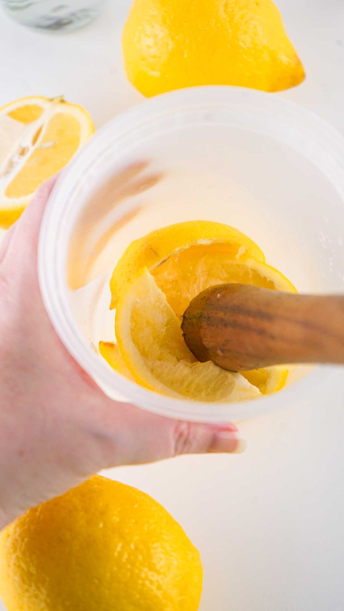 State Fair Lemonade - xoxoBella