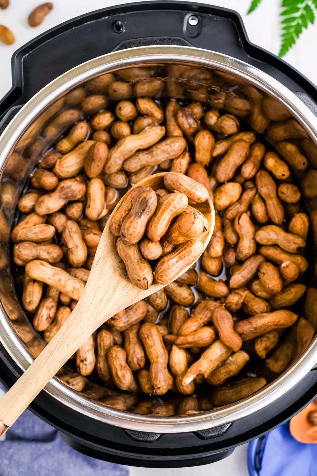 Instant Pot Boiled Peanuts - xoxoBella