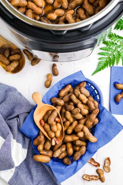 Instant Pot Boiled Peanuts - xoxoBella
