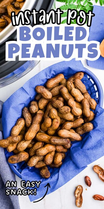 Instant Pot Boiled Peanuts - xoxoBella