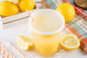 State Fair Lemonade - xoxoBella