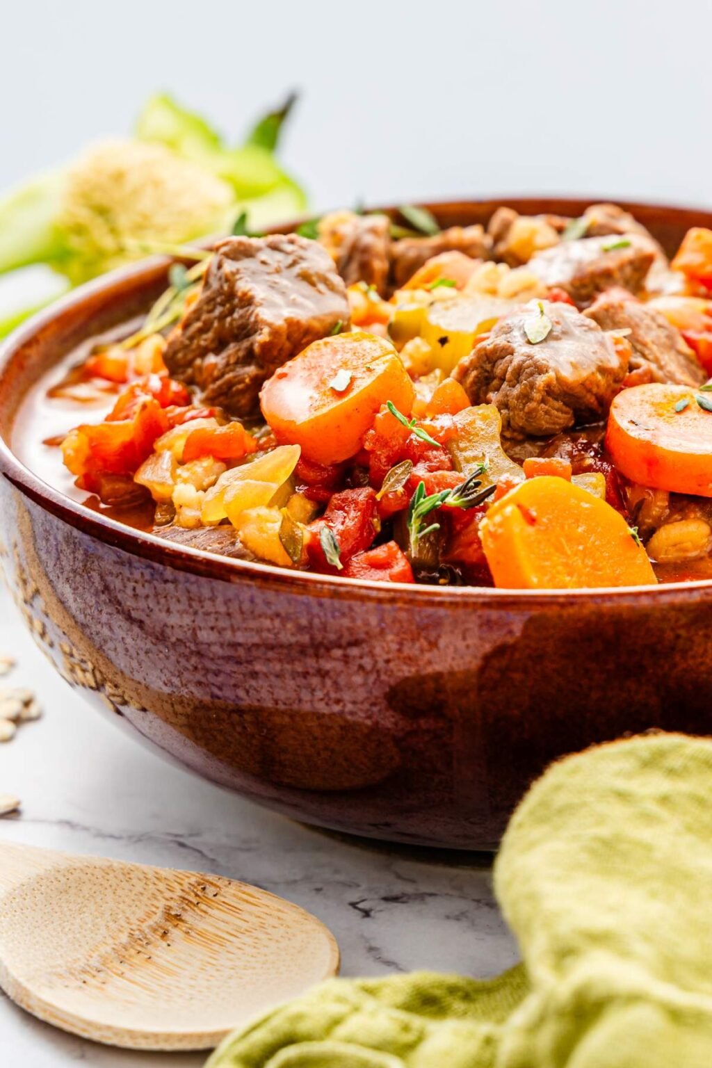 Vegetable Beef Stew - xoxoBella