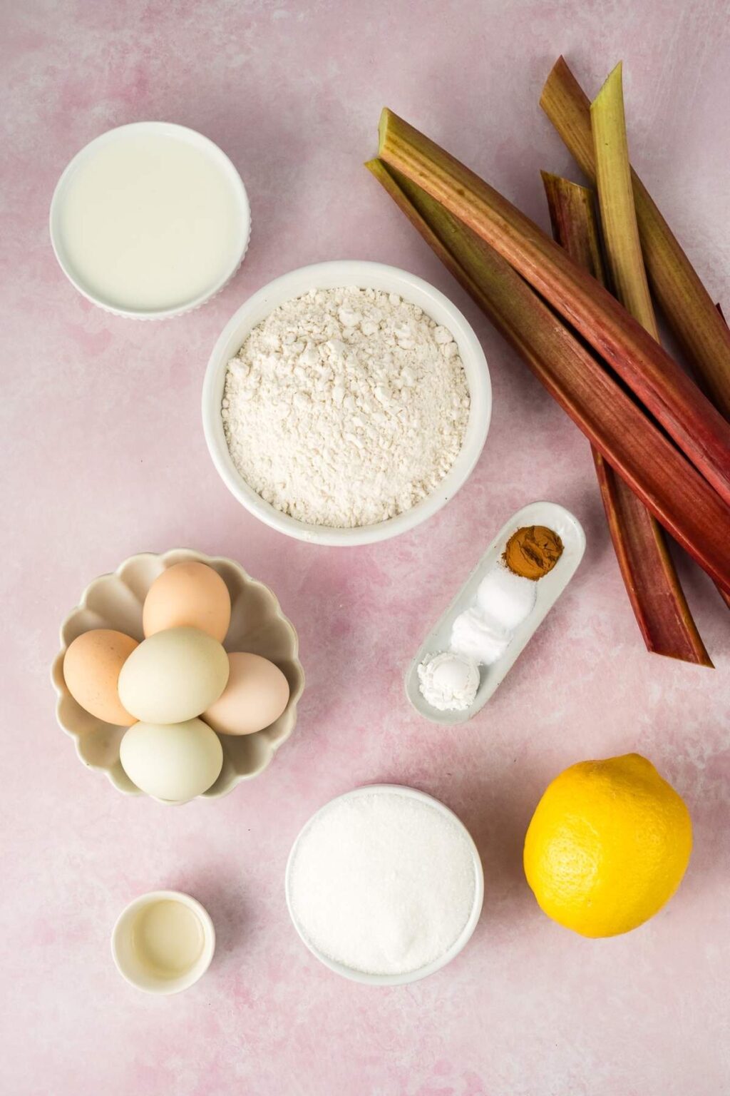 Old Fashioned Rhubarb Custard Cake - xoxoBella