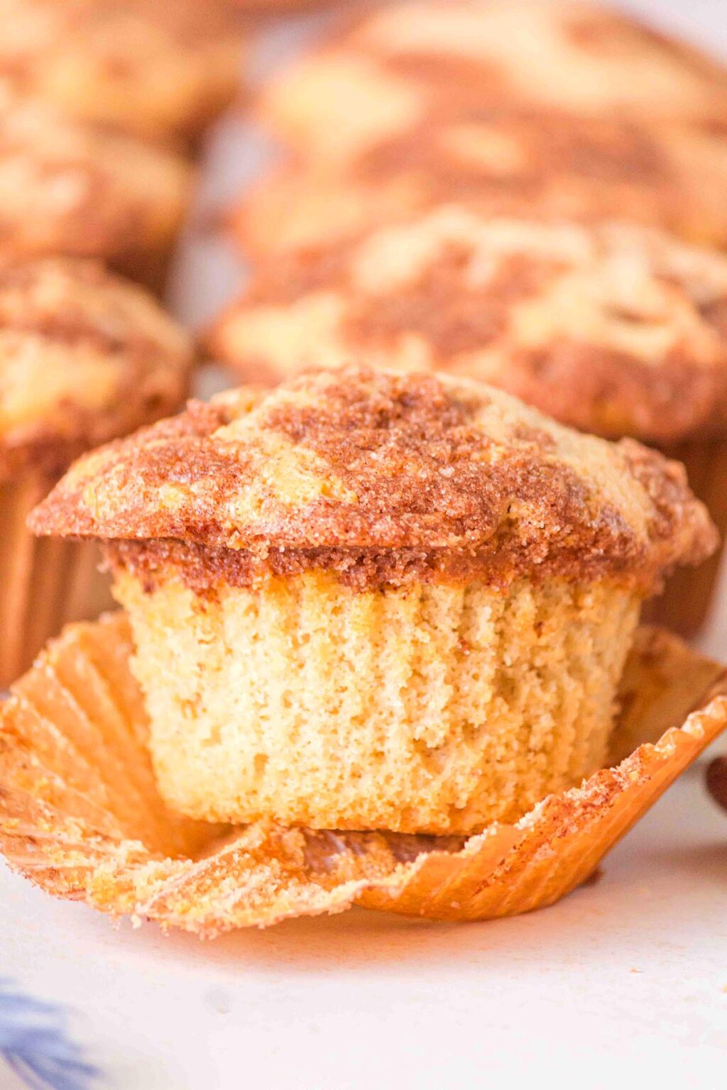 Snickerdoodle Muffins - xoxoBella