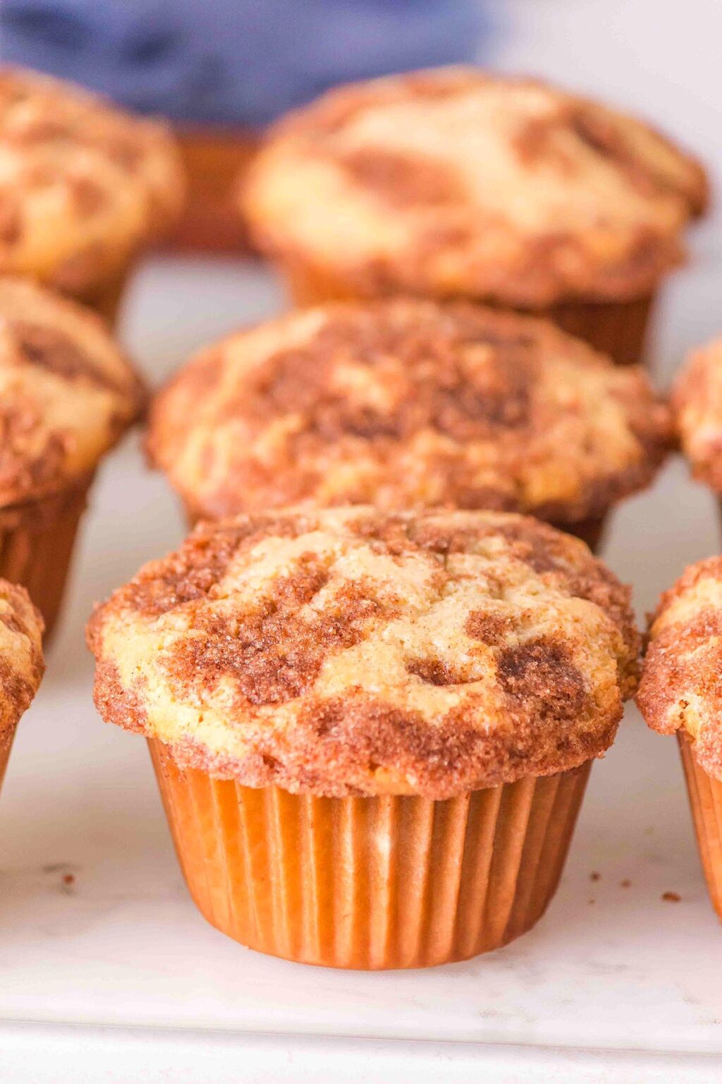 Snickerdoodle Muffins - xoxoBella