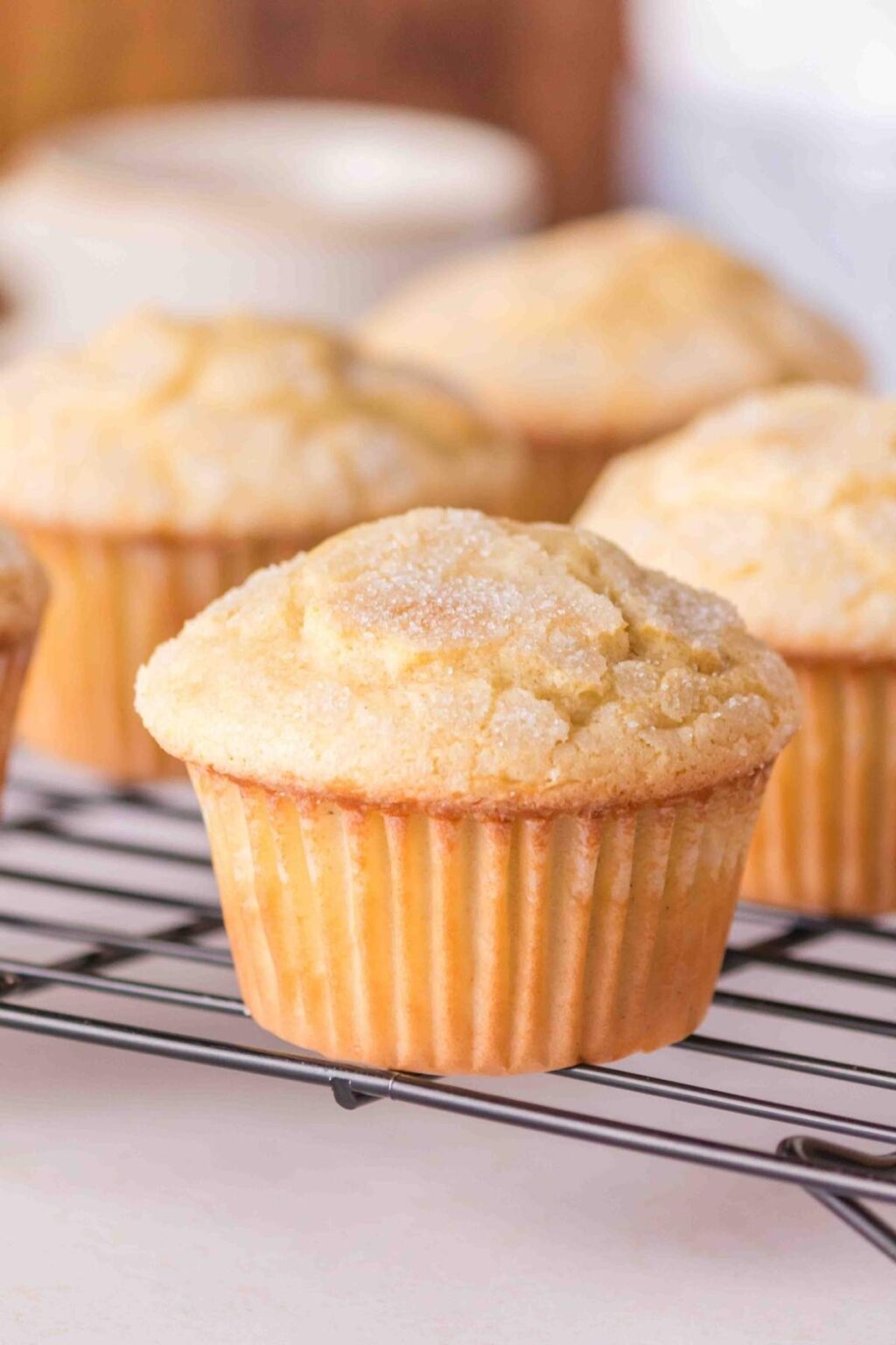 Vanilla Muffins - xoxoBella