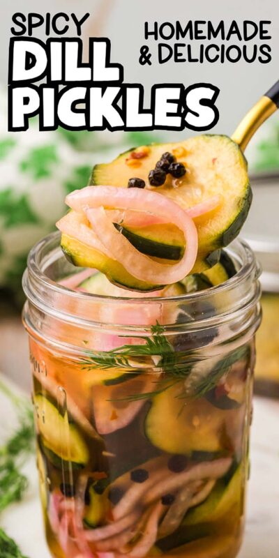 Spicy Dill Pickles - xoxoBella