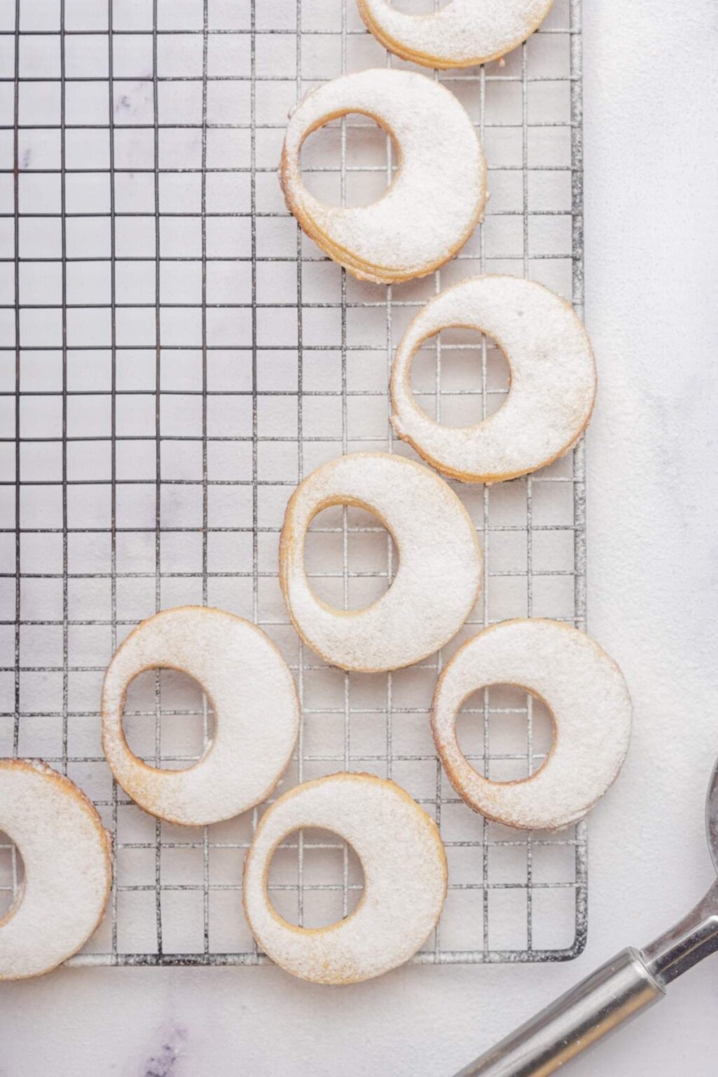 Biscoff Reindeer Linzer Cookies - xoxoBella