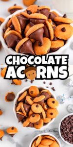 Chocolate Acorns - xoxoBella