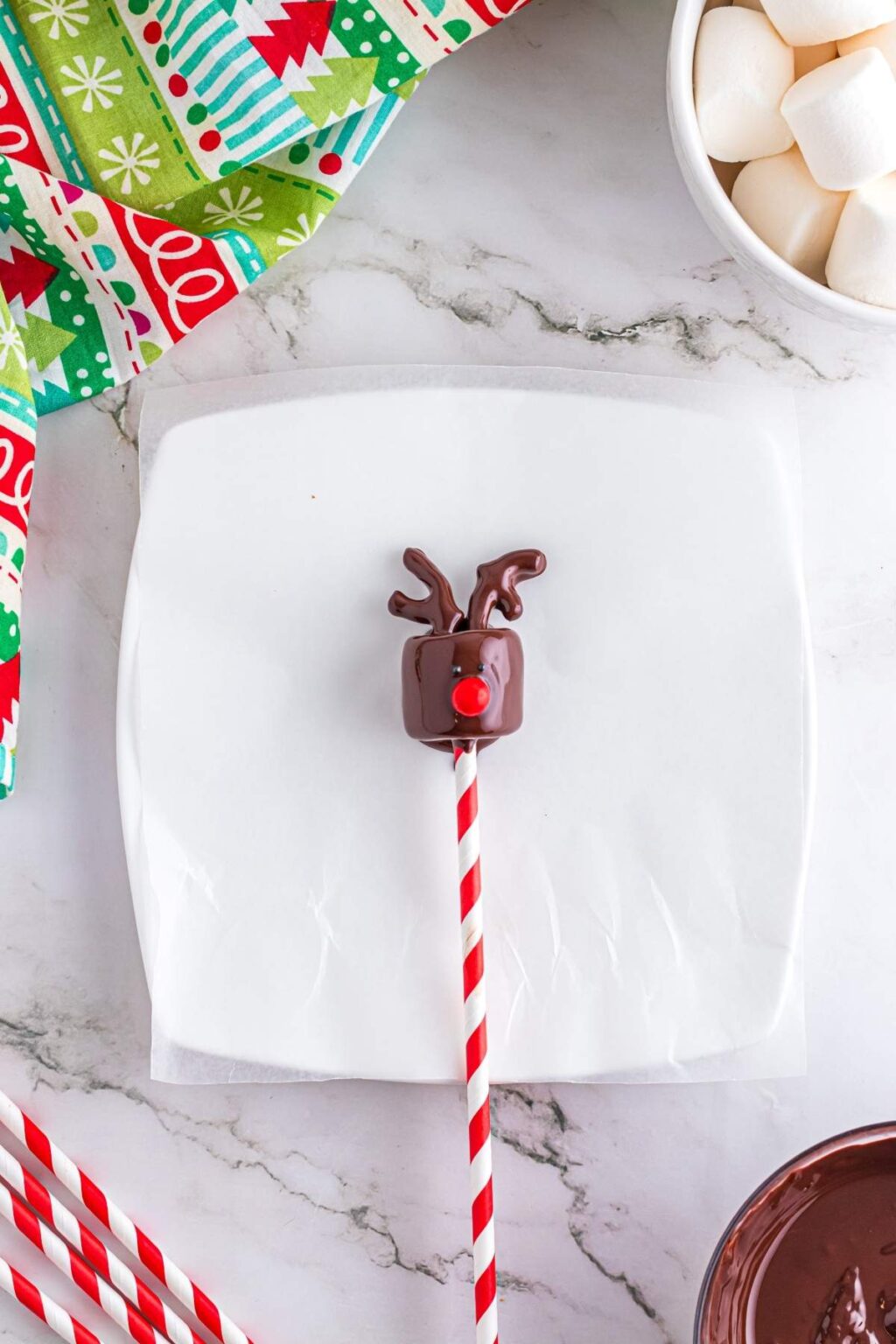 Christmas Marshmallow Pops - xoxoBella