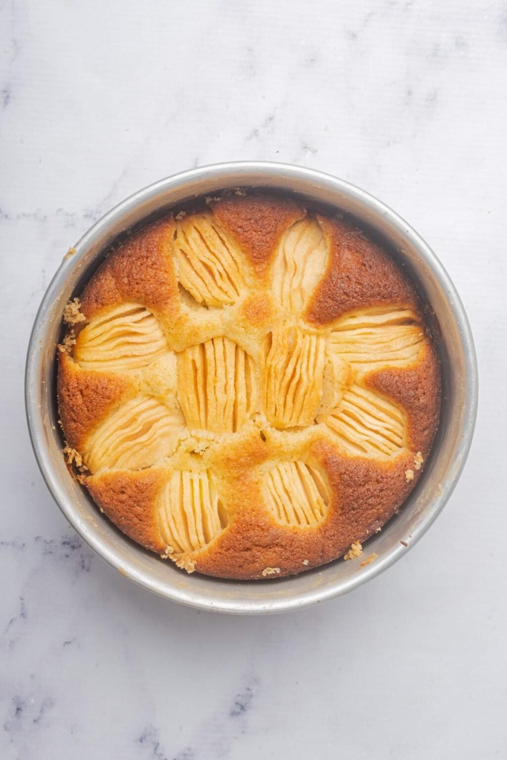 Apple Ginger Cake - xoxoBella