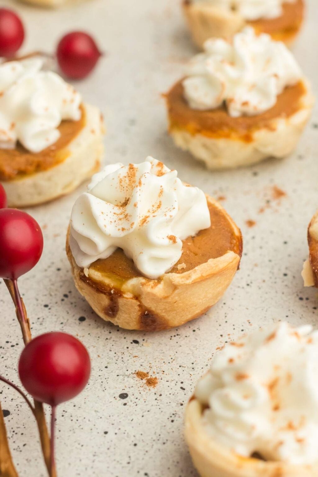 Mini Pumpkin Pies - xoxoBella