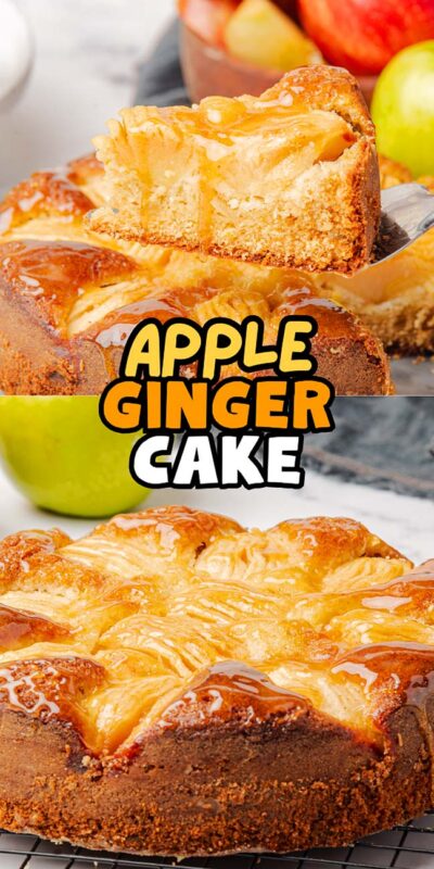 Apple Ginger Cake - xoxoBella