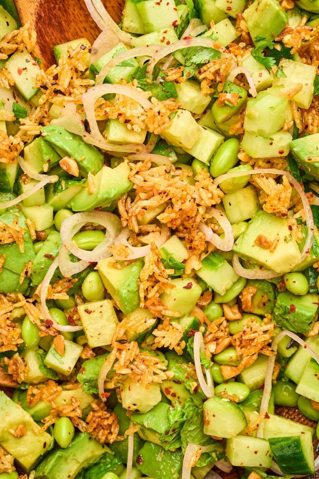 Crispy Rice Salad - xoxoBella