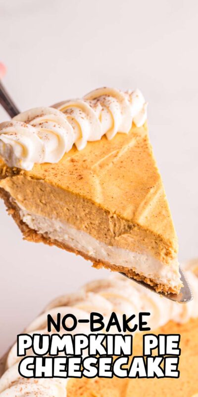 No Bake Pumpkin Pie Cheesecake - xoxoBella