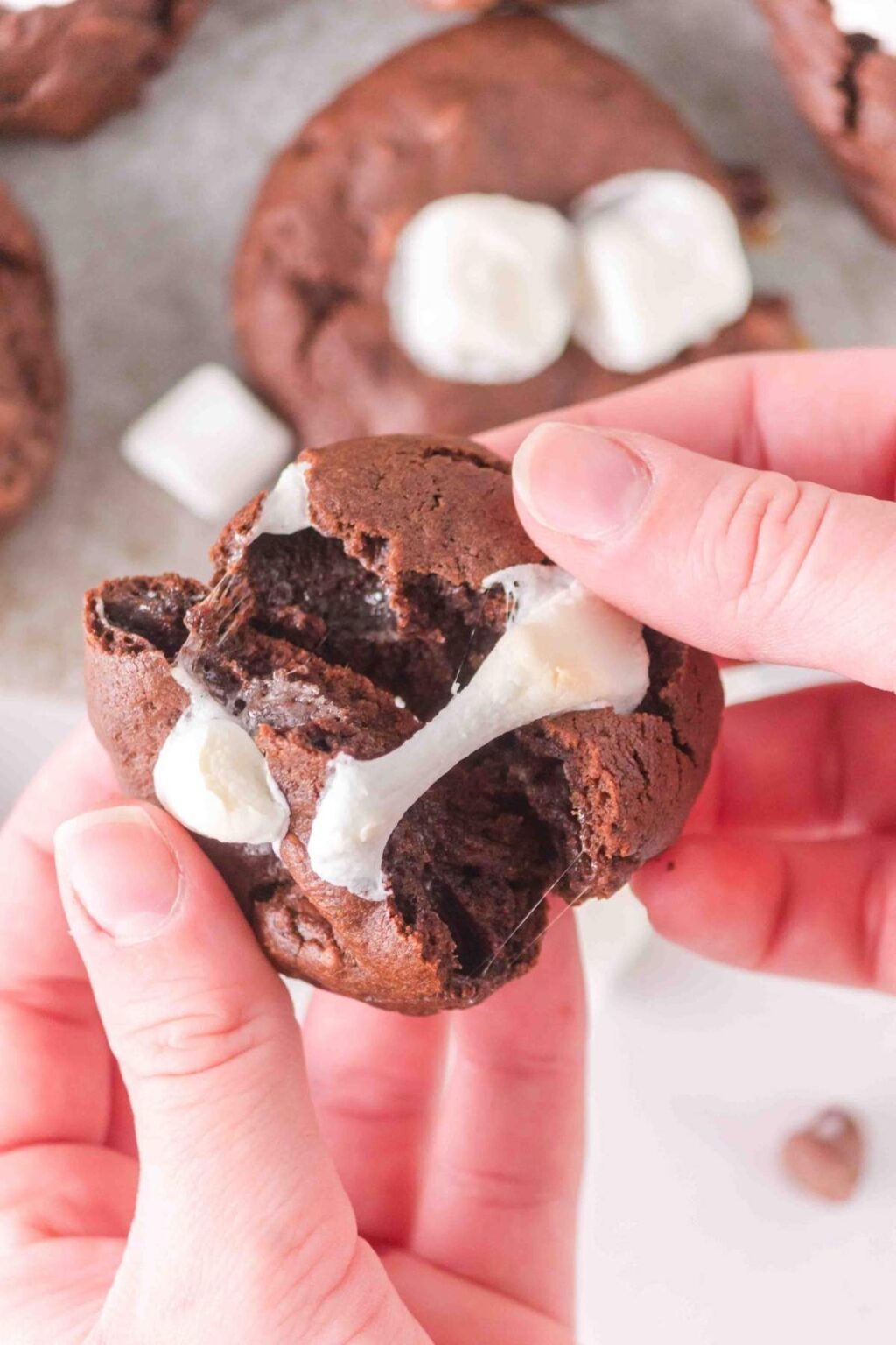 Chocolate Marshmallow Cookies - xoxoBella