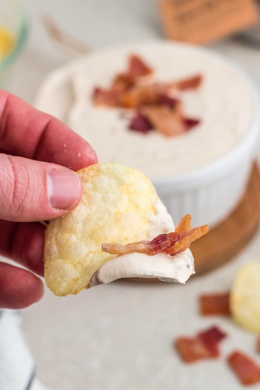 French Onion Bacon Dip Mix