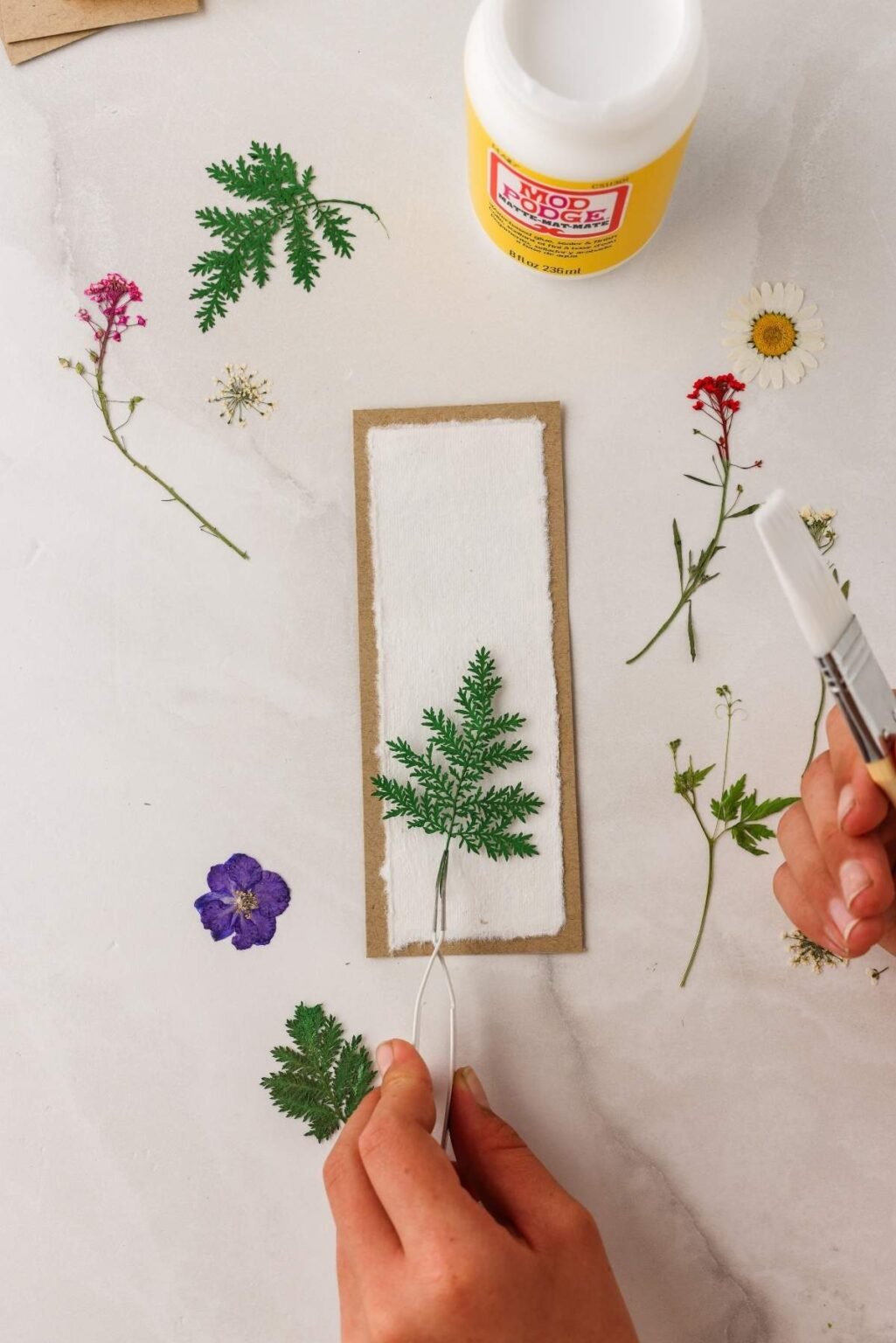 Pressed Flower Bookmark DIY - xoxoBella