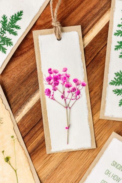 Pressed Flower Bookmark DIY - xoxoBella