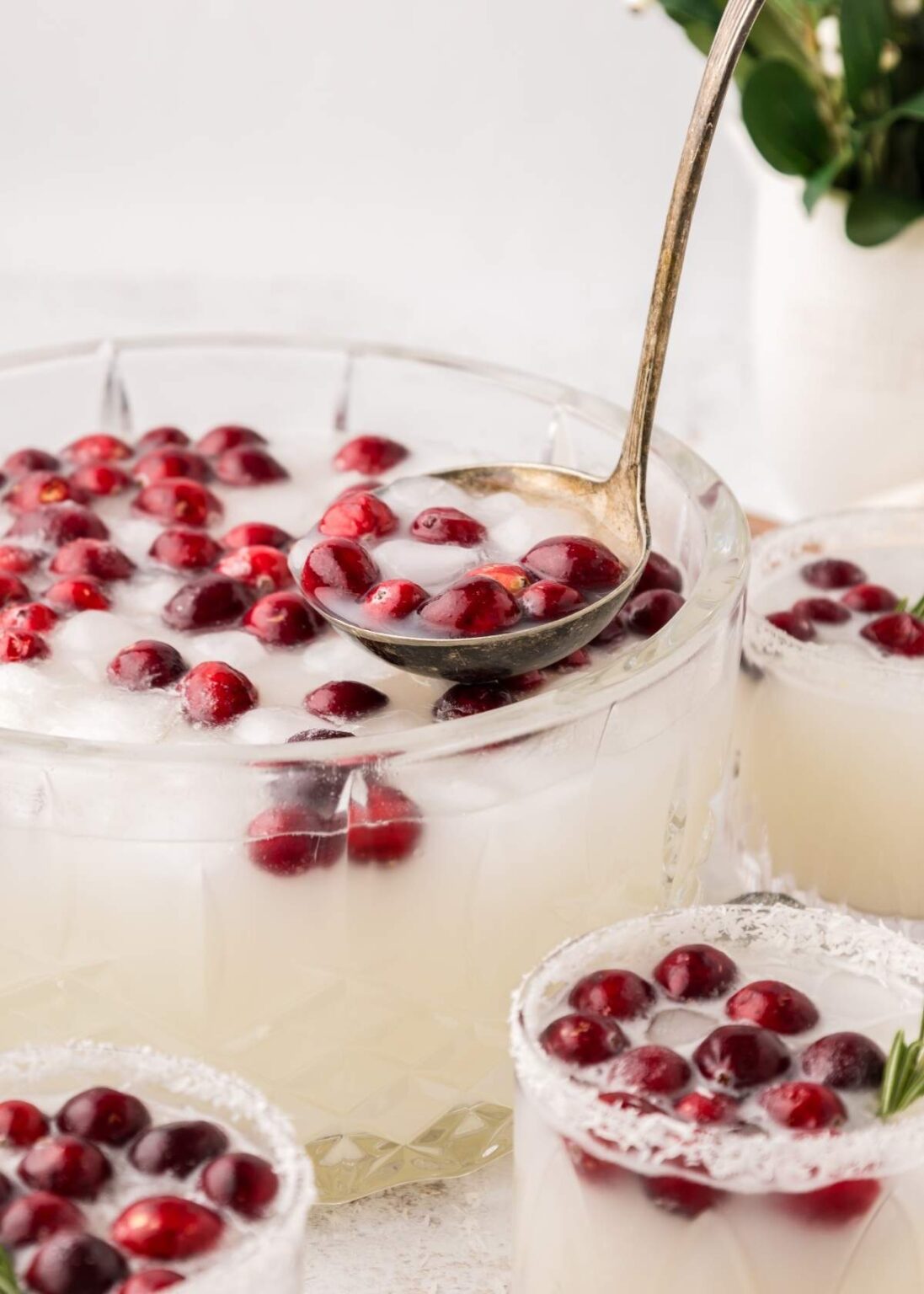 White Christmas Punch - xoxoBella