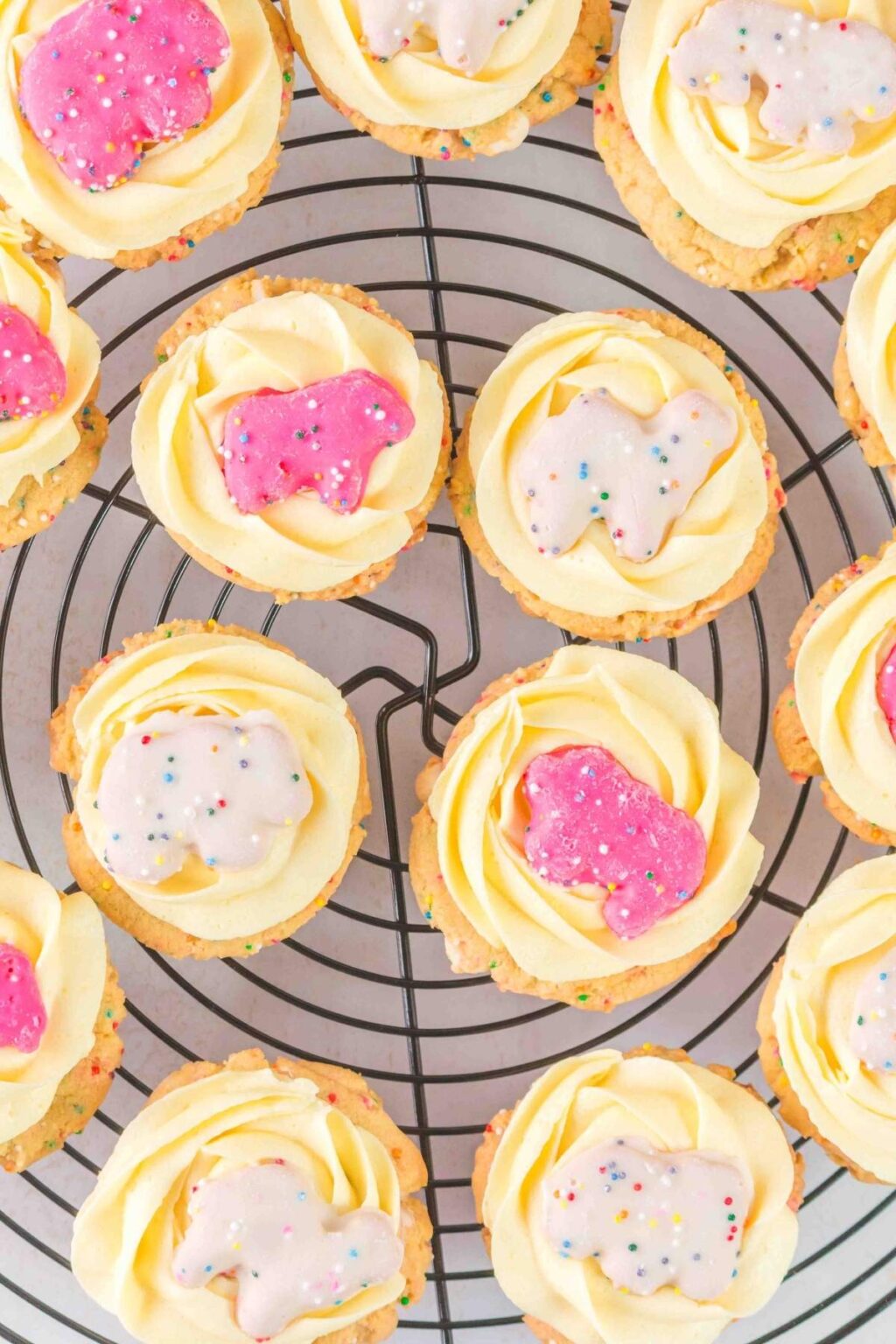 Circus Animal Sugar Cookies - xoxoBella