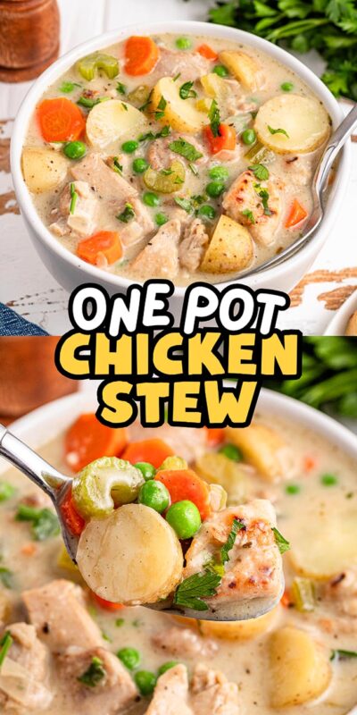 One Pot Chicken Stew - xoxoBella