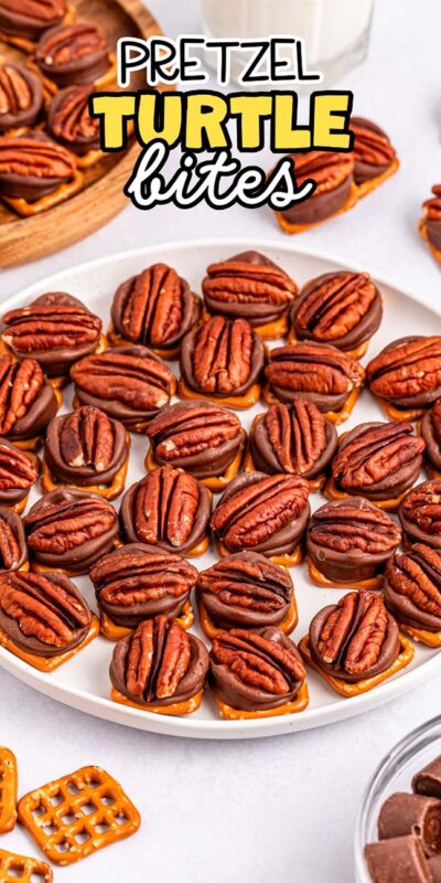 Pretzel Turtle Bites - xoxoBella