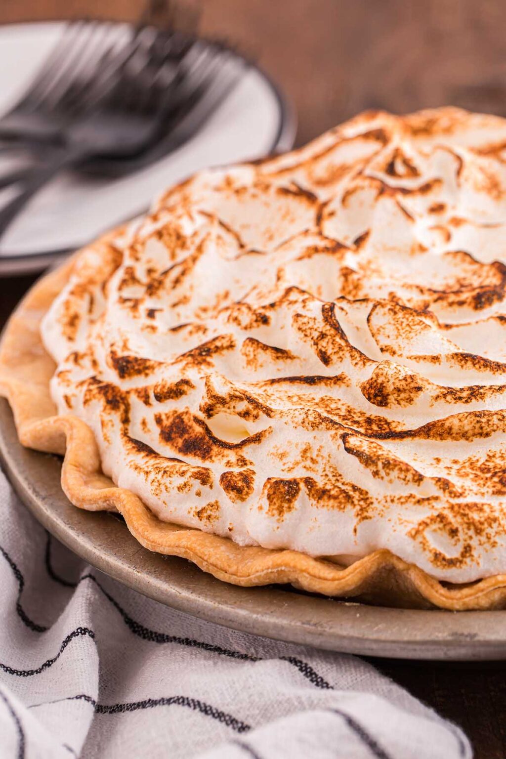 Sour Cream Raisin Pie