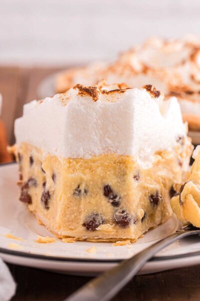 Sour Cream Raisin Pie