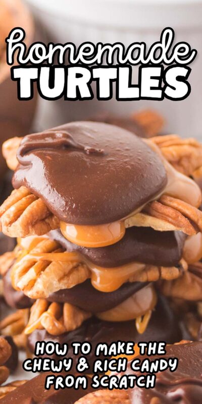 Homemade Turtles
