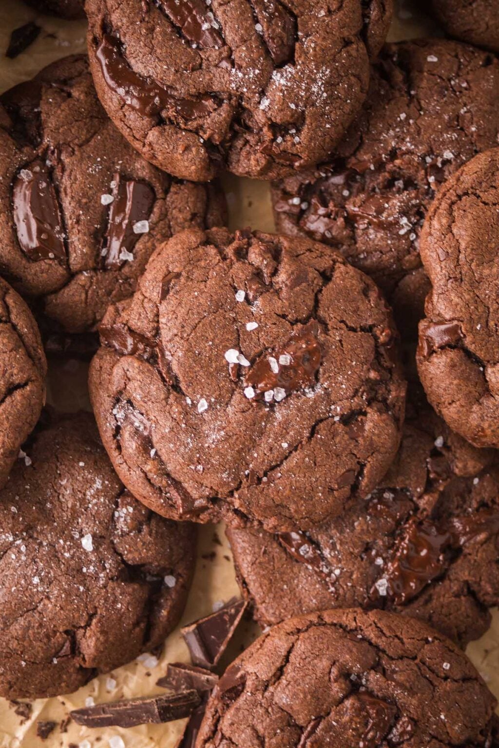 Chocolate Fudge Cookies