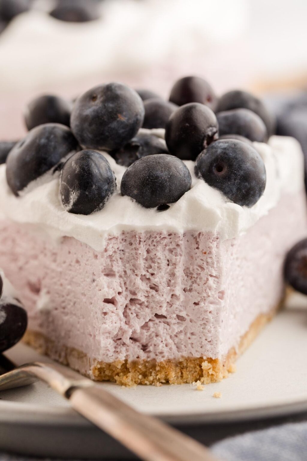 No Bake Blueberry Cheesecake - xoxoBella