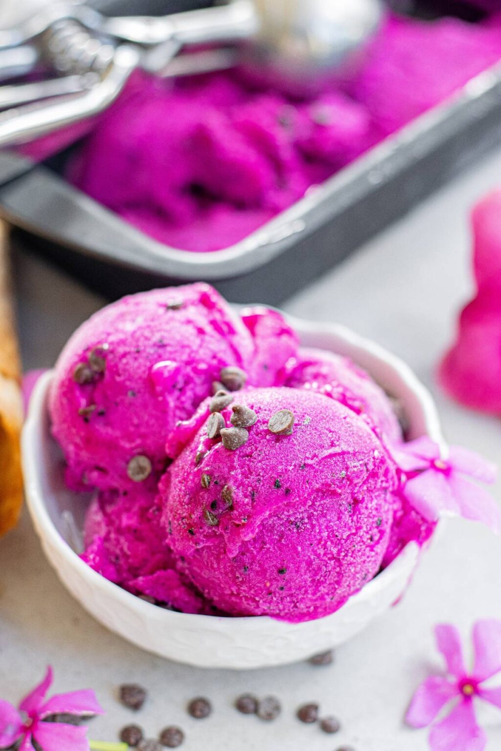 Dragon Fruit Ice Cream