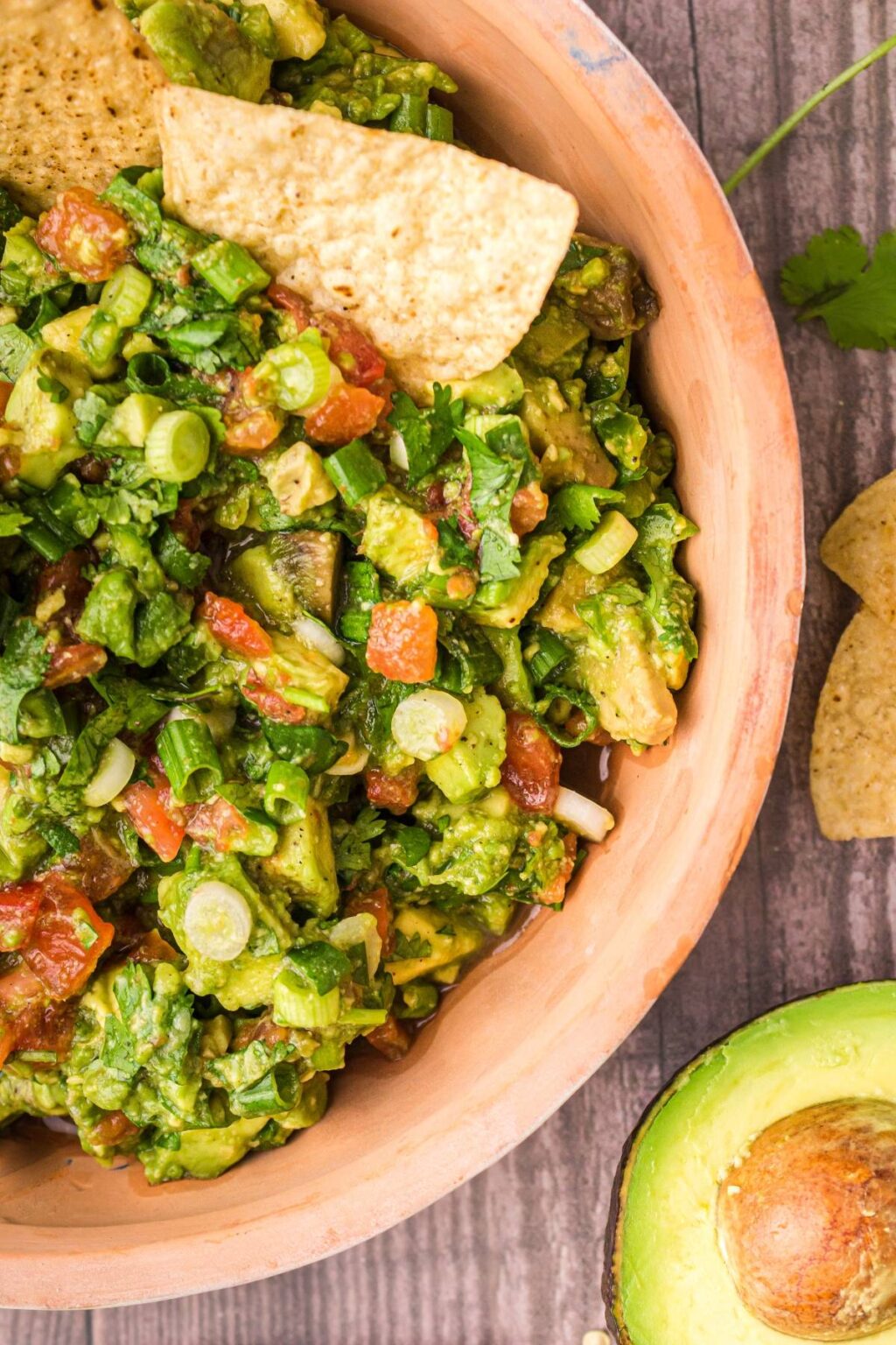 Chunky Guacamole - xoxoBella
