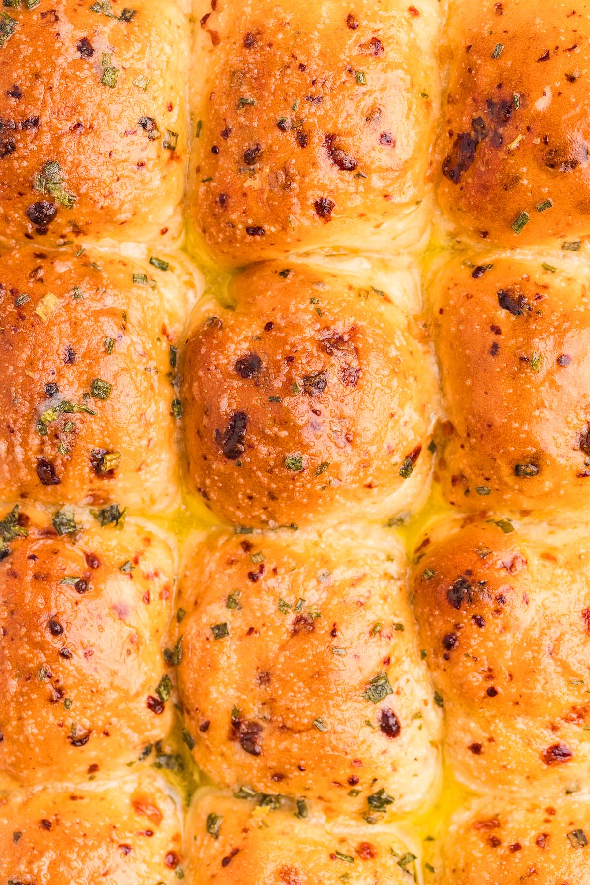 Cheddar Chive Dinner Rolls - xoxoBella