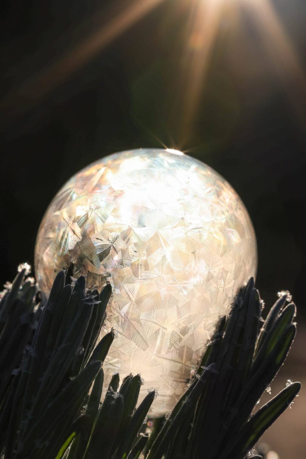 How to Make Frozen Bubbles - xoxoBella