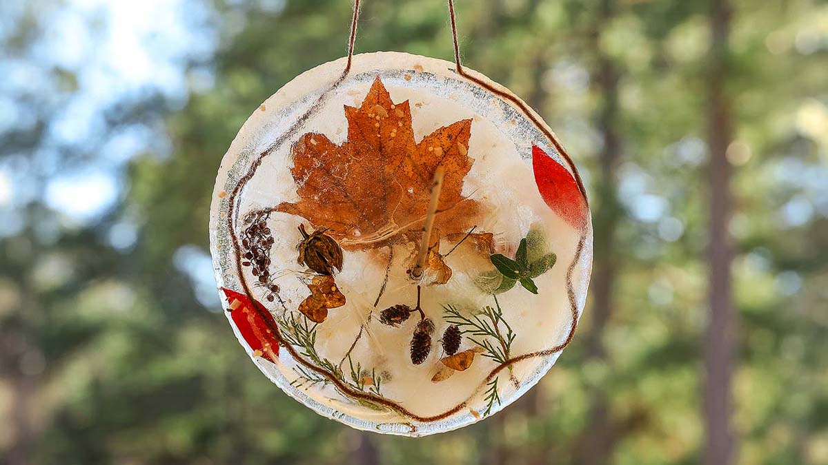 DIY Ice Suncatchers - xoxoBella