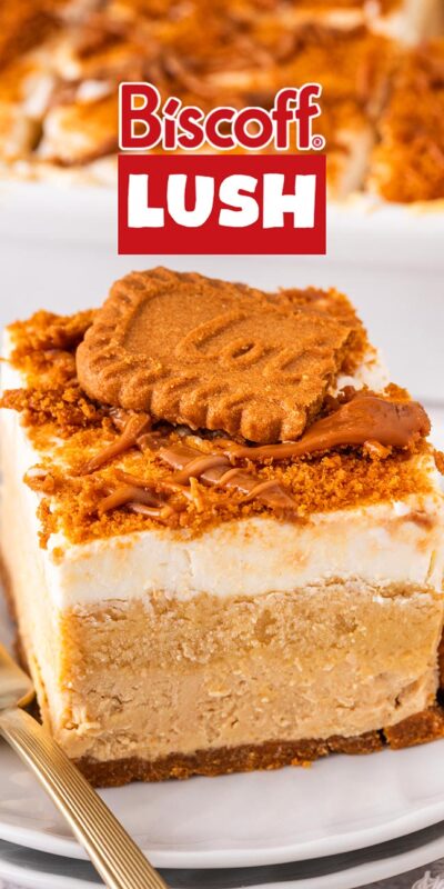 Biscoff Lush - xoxoBella